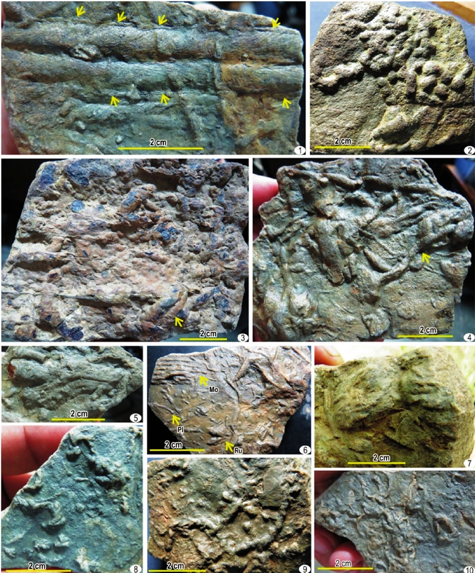 Lithology Pattern: