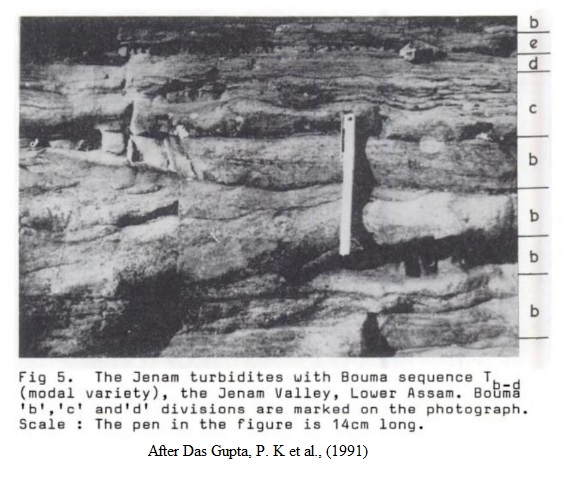 Lithology Pattern: