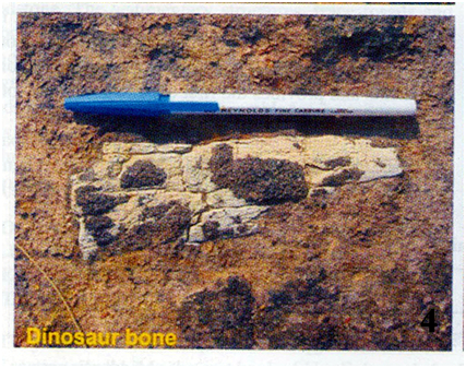 Lithology Pattern: