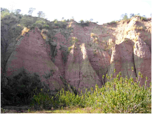 Lithology Pattern:
