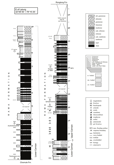 Lithology Pattern: